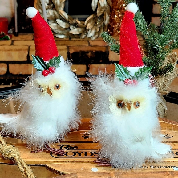 Holiday | 2 Figures White Feather Decorative Snow Owls In Santa Hats ...